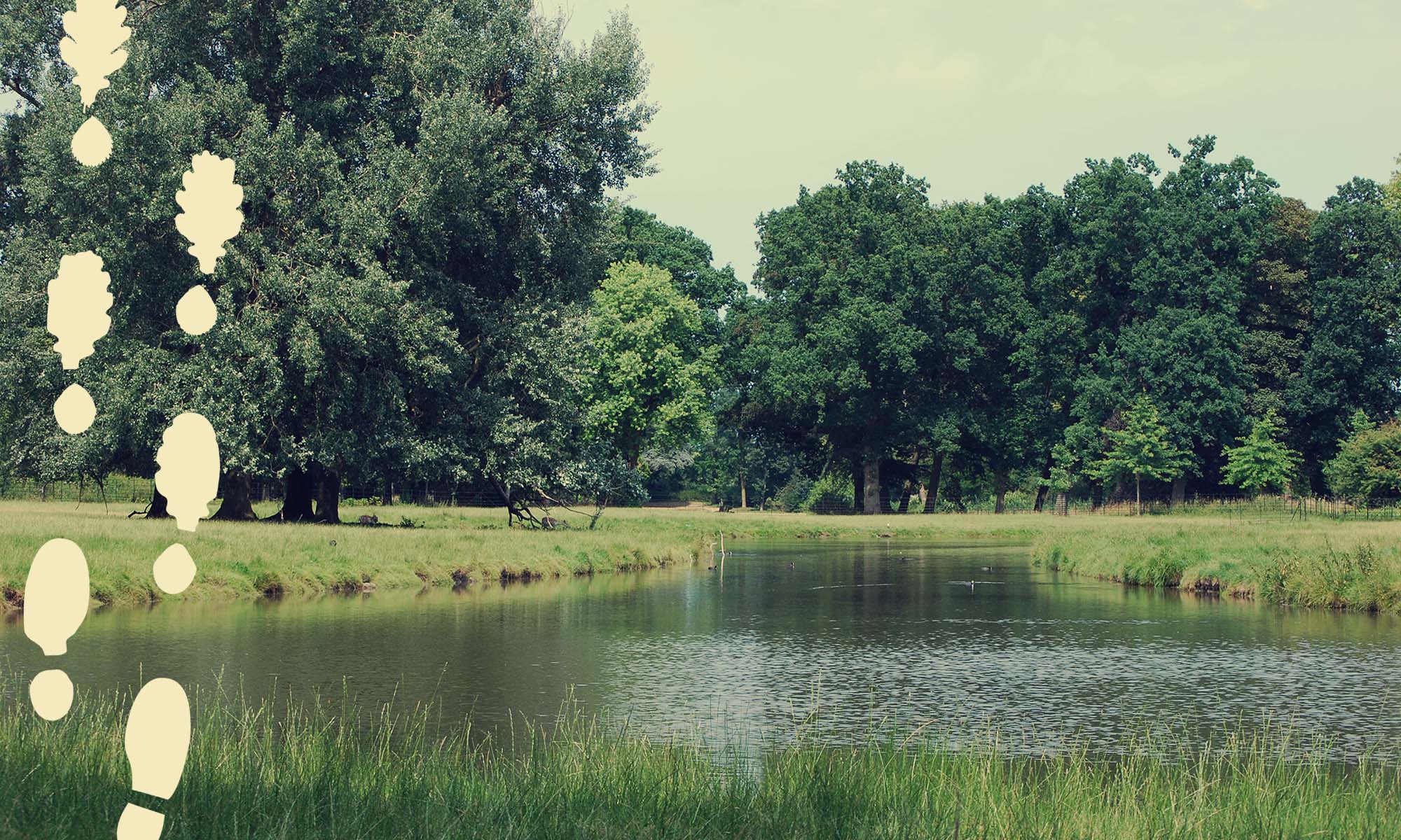 Moves by Nature – Nature guide, Blogger, Nature philosopher