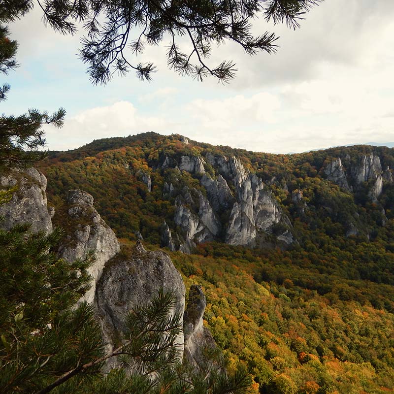 Žilina a hidden climbing gem – Moves by Nature